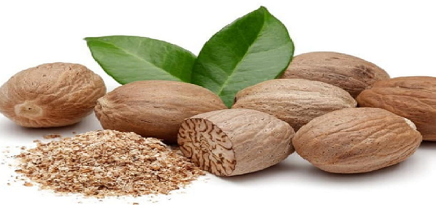 जायफल के सेवन से होते है ये चमत्कारी फायदे, इन बीमारियों से मिलता है ...